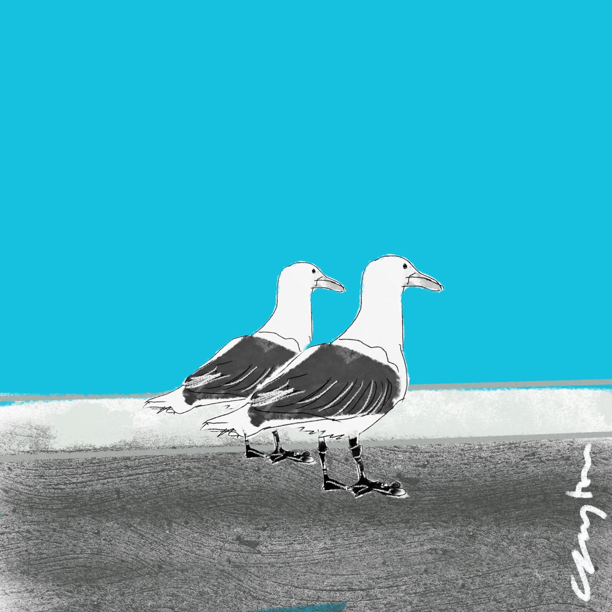 the truth about what happened on the roof | jim clayton